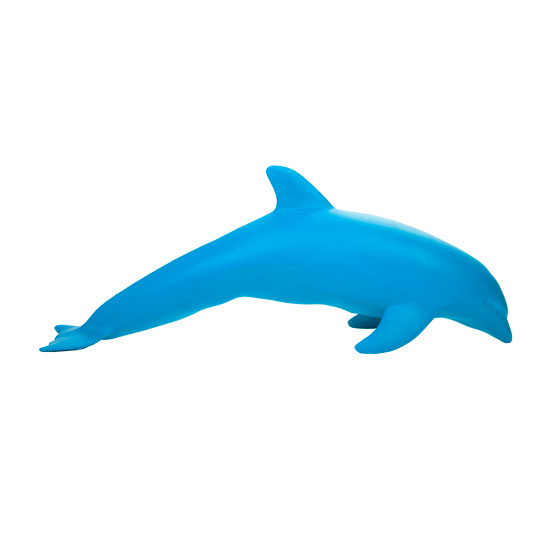 DOLPHIN Cracking Art dolphin-cracking-art
